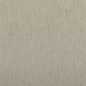 Fineline Brushed Champagne